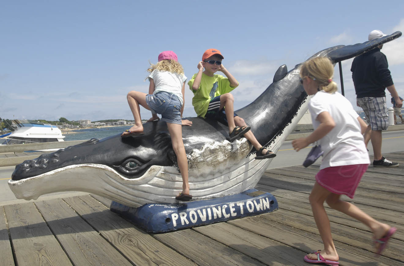 Richard Sobol's story of a humpback whale named Salt